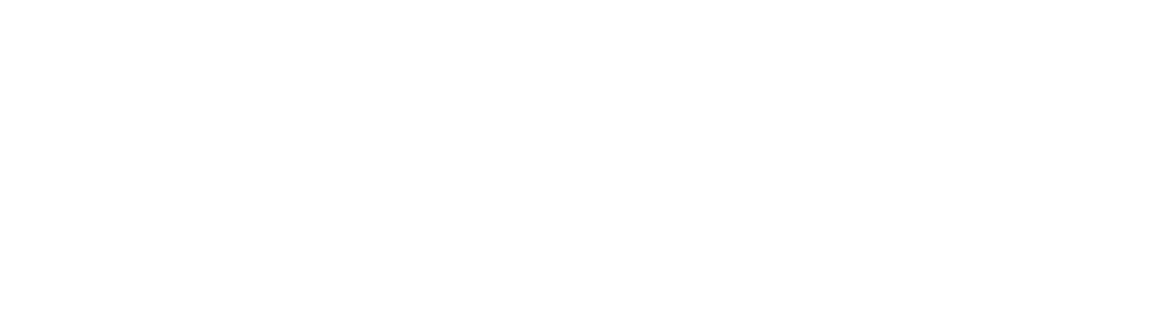 ARGUS Logistics Group – SpaceValley